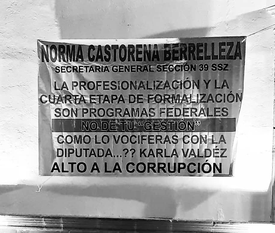 PREPARA NORMA CASTORENA ACARREO PARA SU REGISTRO - Revista Malinali